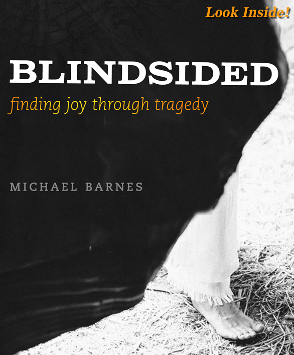 Blindsidedbook.com - Blindsided - finding joy through tragedy
